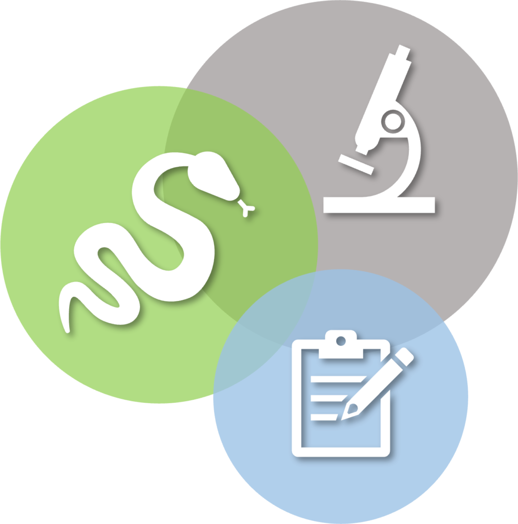 publications – Dr Henrique Braz